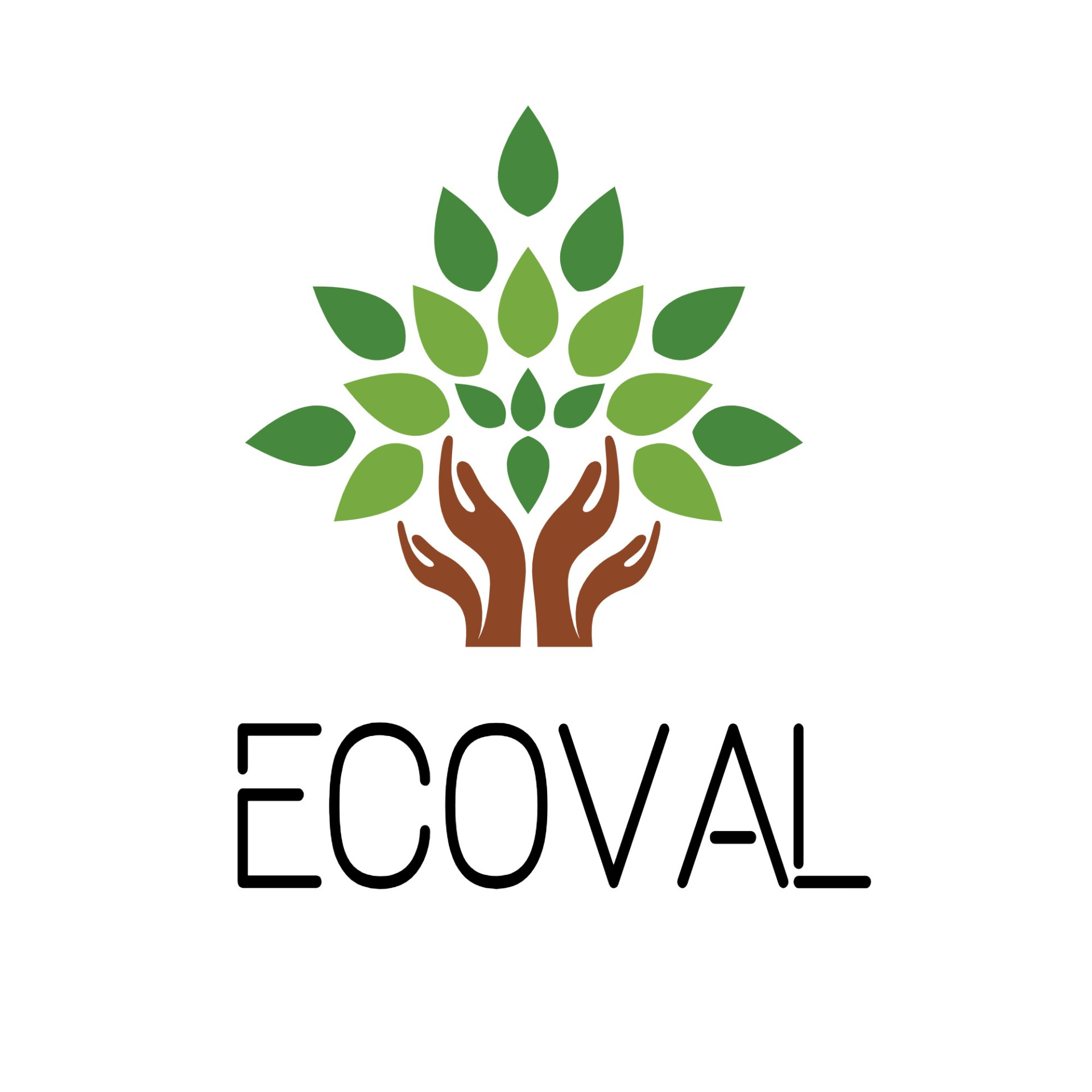 Vit Elephant :: Ecoval